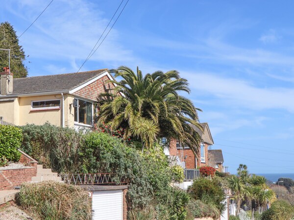 House Of Emma, Pet Friendly, Character Holiday Cottage In Paignton - Paignton