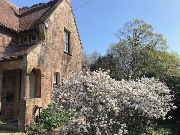 Middle Lodge, Pet Friendly, Character Holiday Cottage In Taunton - Taunton