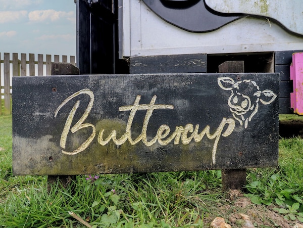 Buttercup (Cow Shed 3), Pet Friendly, With A Garden In Campsea Ashe - Suffolk