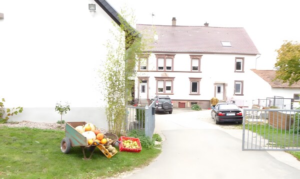 Appartement "Bickenalb" Avec Jardin Partagé Et Wi-fi - Riedelberg