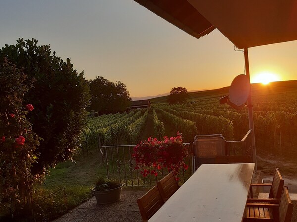 Appartamento 'Mit 65qm' Con Terrazza Privata, Giardino Privato E Wi-fi - Breisach am Rhein