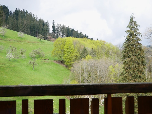 Ferienwohnung 'Nr. 1' Mit Gemeinschaftsgarten, Balkon Und Wi-fi - Bad Peterstal-Griesbach