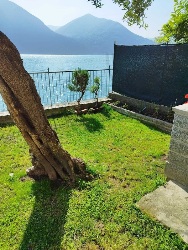 Peaceful Lakefront - Zone