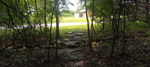 Deer Creek @B Berry Farms - Missouri