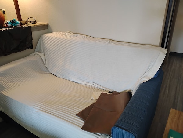 Chic Suite In Superb Houston With Wifi, Ac - Houston, TX