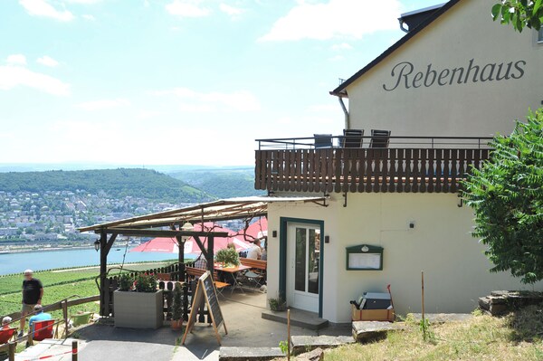 Das Rebenhaus - Mit Sensationellem Blick Aufs Rheintal. Apartment Für 2 - Geisenheim