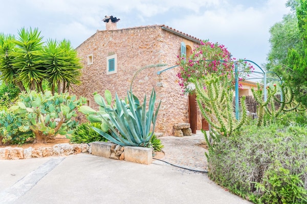 Can Pina - Eco Pina - - Apartment In Costitx - Sineu