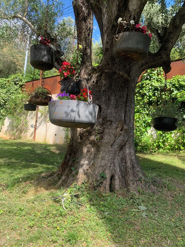 Large Villa With Home Chef Service - Grasse