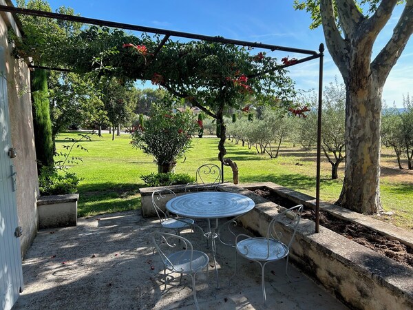 Pretty Country Cottage In Magnificent Olive Grove - Trets