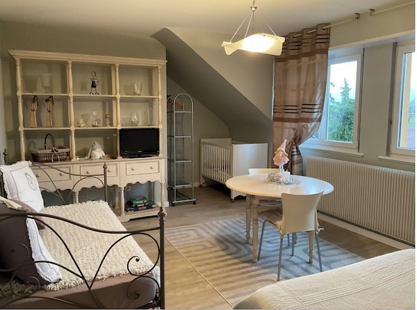 Idéal Sur La Route Des Vins D'alsace 1 Chambre 2/3 Pers Dans Une Villa + Piscine - Ribeauvillé