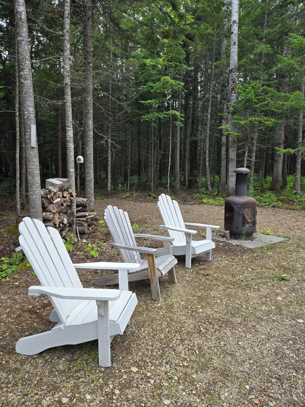 Cozy Little Camp In The Woods. - Bathurst