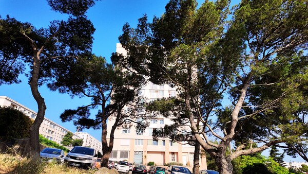 Le Grand Bleu\nappartement Confortable Avec Vue Sur Mer Et L'étang De Thau - Frontignan