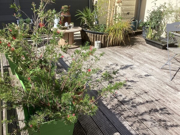 Joli Duplex Appartement Avec Terrasse Ensoleillée.5 Minutes De Voie Verte. - Manche
