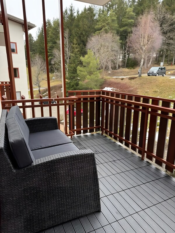 Appartement 'Black Forest' Avec Balcon Et Wi-fi - Schluchsee