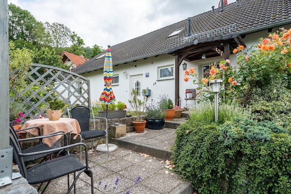 Apartment 'Zur Alten Säge' With Shared Terrace, Wi-fi And Air Conditioning - Dresden