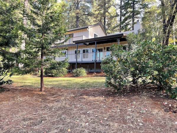 Relax Amongst The Trees! - Nevada City, CA