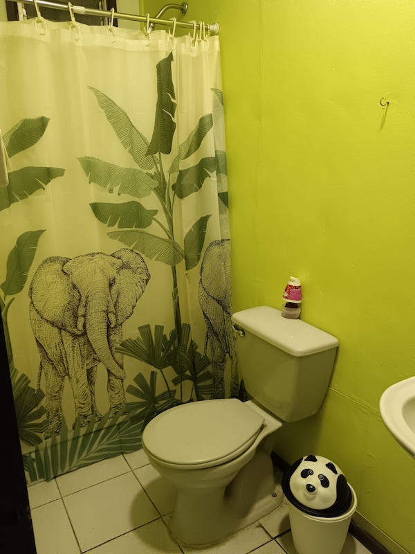 Indoor Apartment For 2 People, Comfortable And Cozy. - Temuco