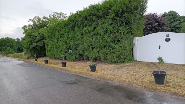 Le P'tit Logement De Lor'phee - Chantepie