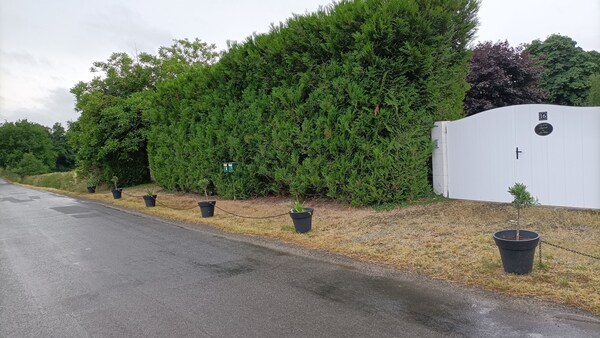 Le P'tit Logement De Lor'phee - Chantepie