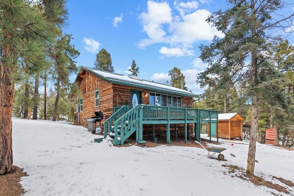 Charming A-frame Cabin In The Woods - Woodland Park, CO