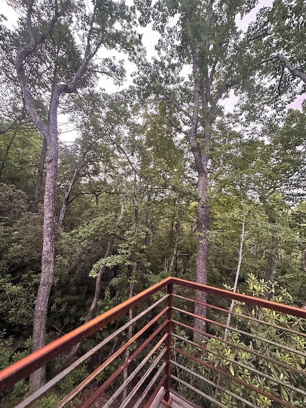 Stunning Brand New Modern 2-bedroom Cabin In Beautiful Brevard With Ac, Wifi - Brevard, NC
