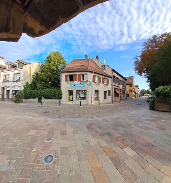La Cigogne Rêveuse 2 - F2 Climatisé - Ensisheim