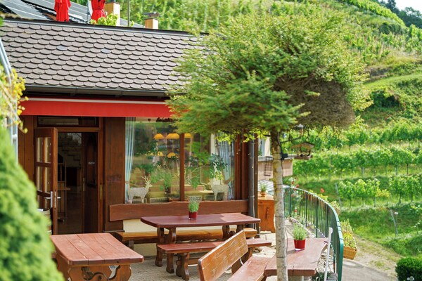 Ferienwohnung 'Panoramazimmer 11' Mit Bergblick, Gemeinschaftsterrasse Und Wi-fi - Waldkirch