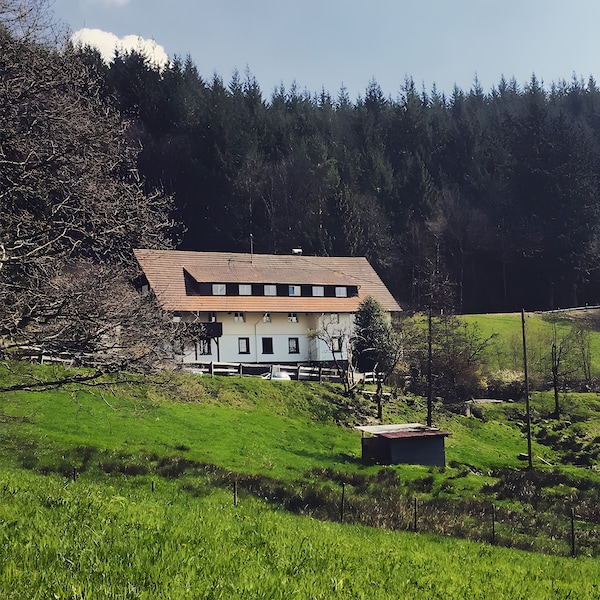 Appartement "Spiritbalance" Avec Vue Sur Les Montagnes, Terrasse Partagée Et Wi-fi - Oberkirch