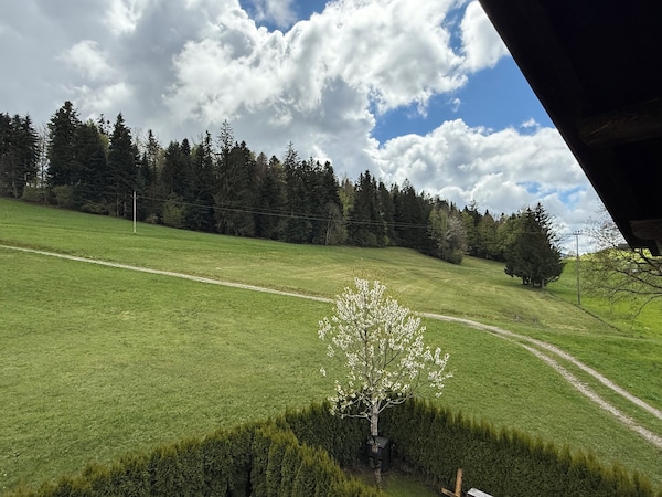 Crown Living Apartment For 10 People, 3 Bedrooms, Kitchen, 2 Bathrooms - Scheidegg