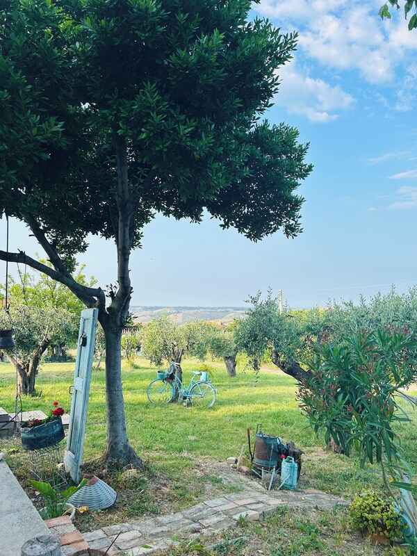 The Hill In A Room Typical Abruzzo Countryside Between Majella And The Sea - Casalbordino