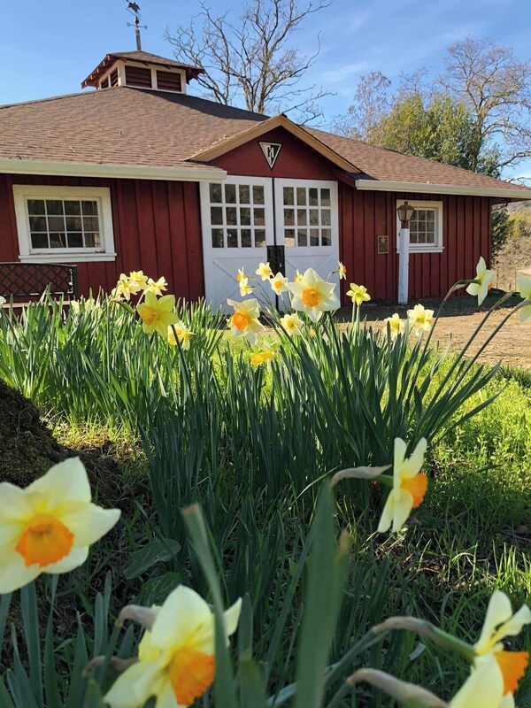 Charming Historic Apartment Cottage At  Ridgewood Ranch - Willits, CA