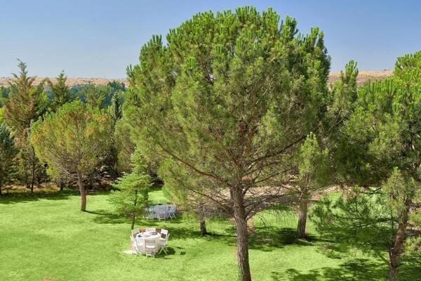 Breathe Nature's Calm In A Scenic Room Just Minutes From áVila - El Tiemblo