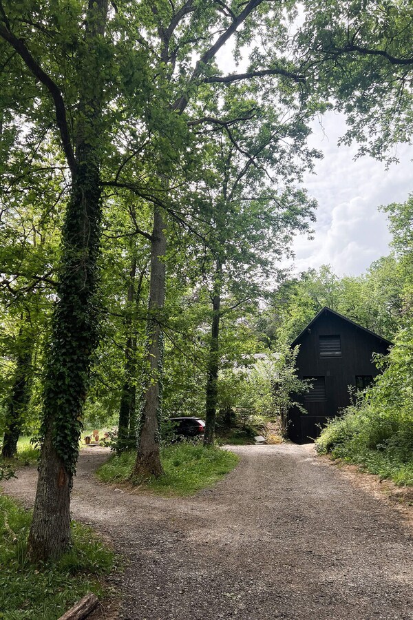 Le Vaudoué｜forêt De Fontainebleau - Milly-la-Forêt