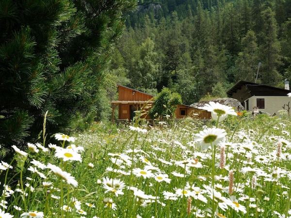 Chalet De Charme 3 Avec Jardin Privatif Au Cœur Du Mercantour - Saint-Martin-Vésubie