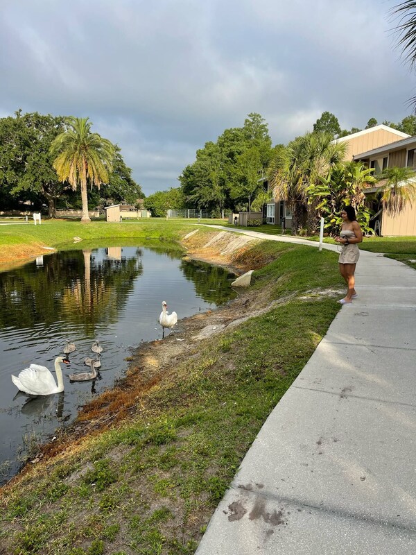 Location ,The Best Location , Next To Universal Studios 0.3 Miles. - Orlando, FL