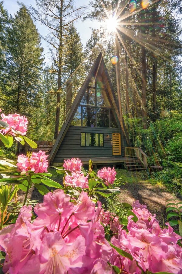 Modern A-frame Cabin In The Woods - Oregon