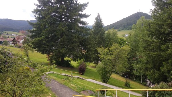 Studio "Schwarzwaldstübchen" In The Black Forest With Swimming Pool - Freudenstadt