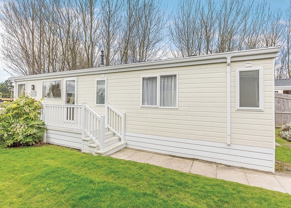 Beech Tree 3 Premier - Wales