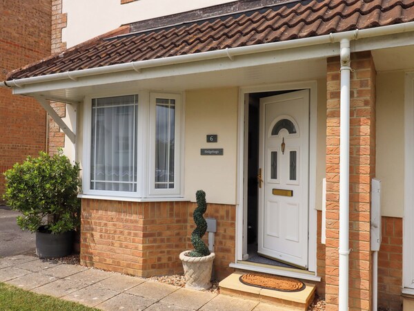 Hedgehogs, Pet Friendly, Country Holiday Cottage In Barnstaple - Barnstaple