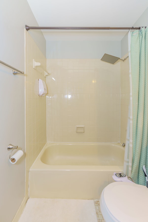 Massive 5bd/4ba 3-story Duplex @ Downtown Albany - Albany, NY