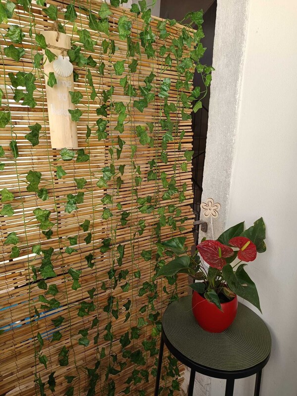 Entire Apartment For Rent For Vacation Or Business In The Historic Center - Rovereto