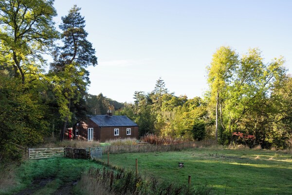 Riverside Cabin In Pretty Ettrickbridge, Just A Short Walk To Village Pub. - Dumfries and Galloway