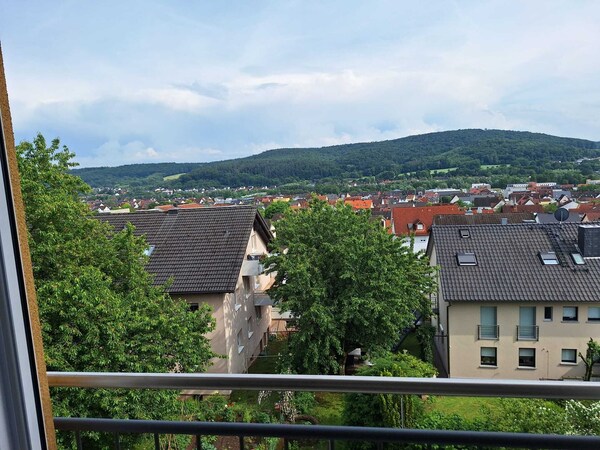 Cozy Top Floor Apartment In A Top Location With Unobstructed Views - Aschaffenburg