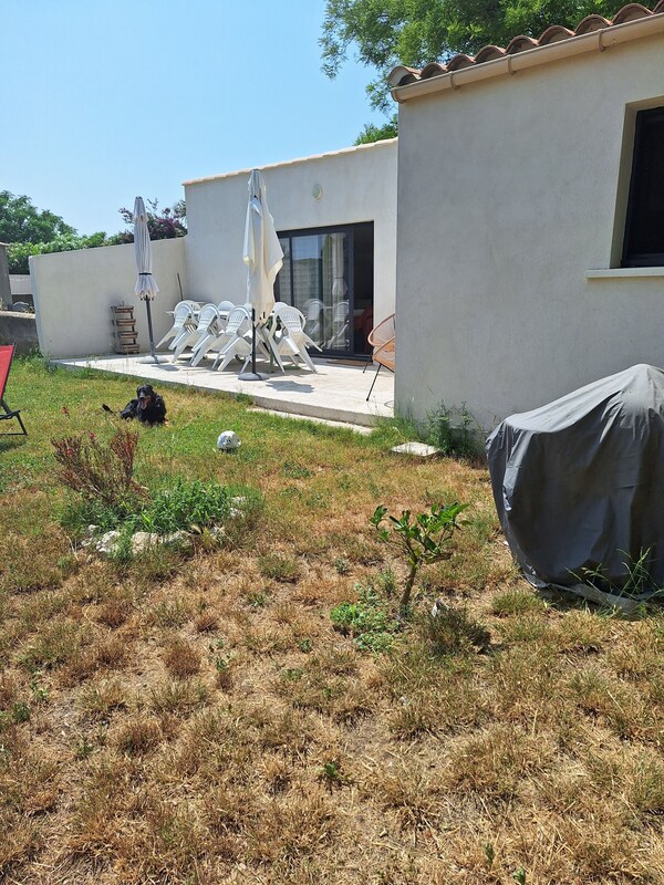 Maison Au Milieu  Des Vignes Avec Grand Jardin .Animaux De Compagnie Acceptés - Frontignan