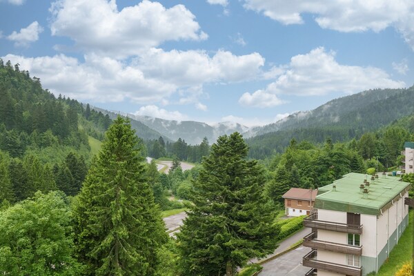 Le Chitelet 506 - Au Pied Des Pistes - La Bresse