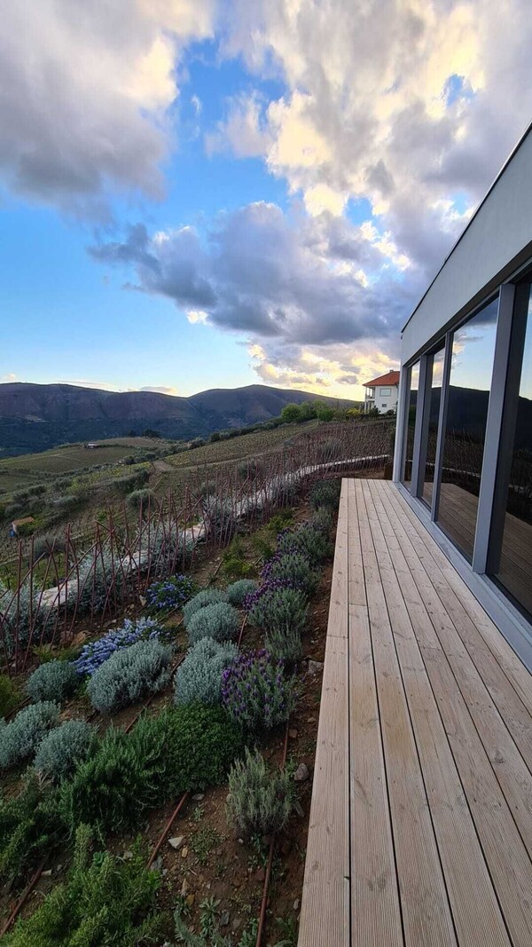 Villa W/ Magical Views Of The Douro River Valley, Enjoy Wine Tours & Fine Dining - Sabrosa