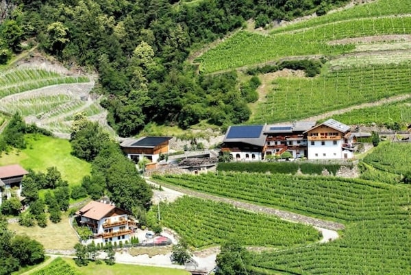 Winery Hofer Hof - App. Veltliner - Южный Тироль