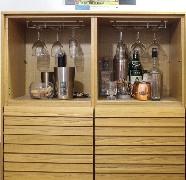 Boutique Flat In Lincoln Park With Free Parking - Chicago, IL