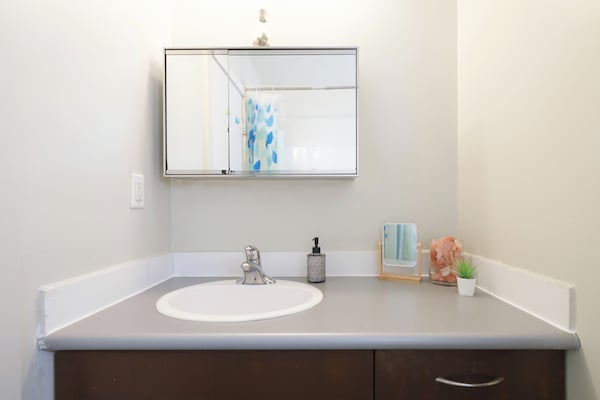 Central Vancouver Loft Stylish Stay Near Everything - Vancouver