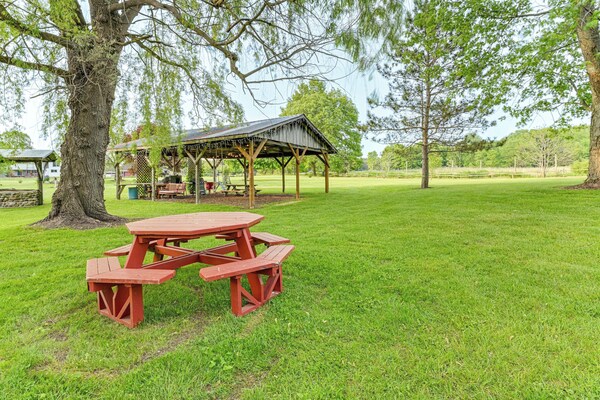 5-acre Kingston Getaway: Pond, Peacocks & Fire Pit - Caro, MI